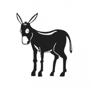 Bacharach-Steeg – Das idyllische Weindorf im Steeger Tal